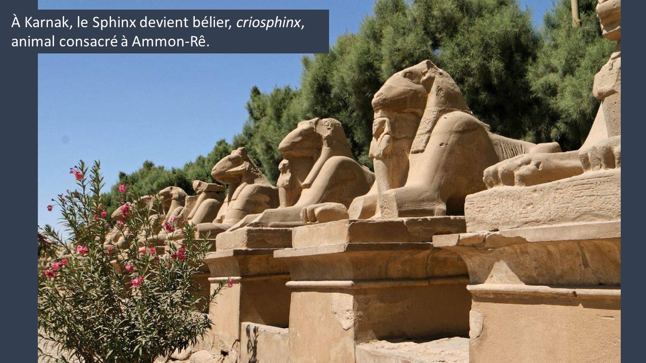 Acchla - Association pour la Connaissance de la Culture Historique ...